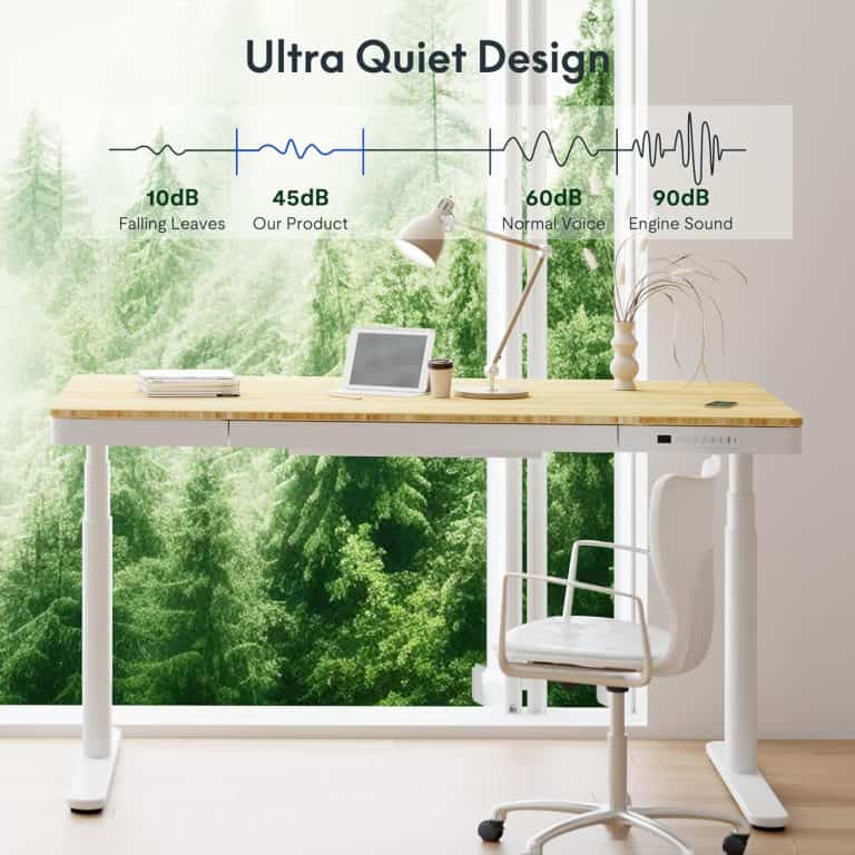 FLEXISPOT 55-Inch Bamboo Electric Standing Desk - Essential Office ...