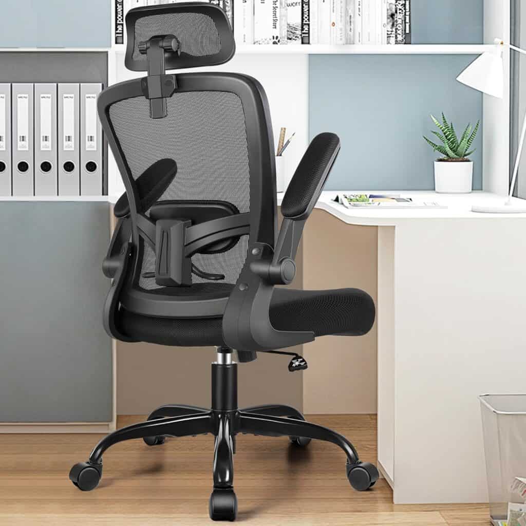 FelixKing Ergonomic Office Chair with Headrest-(Black) - Essential ...