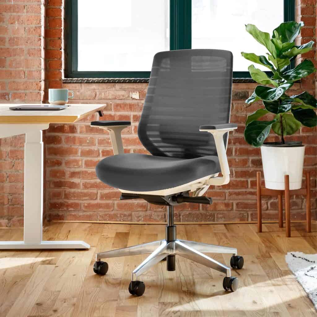 Branch Ergonomic Chair-Graphite - Essential Office Furniture